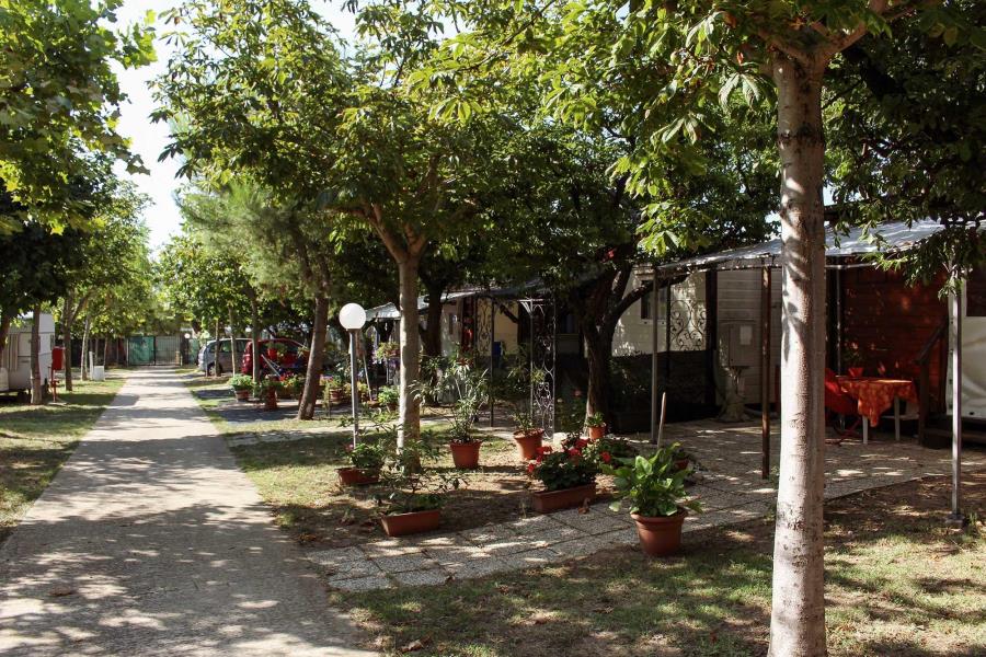 Campsite Il Frutteto Italy