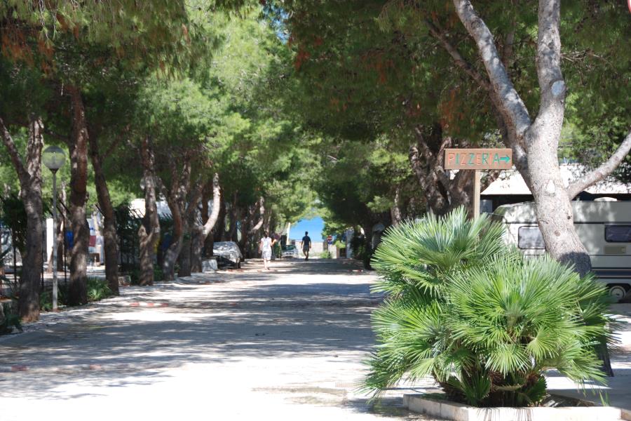 Camping Village La Pineta Italy