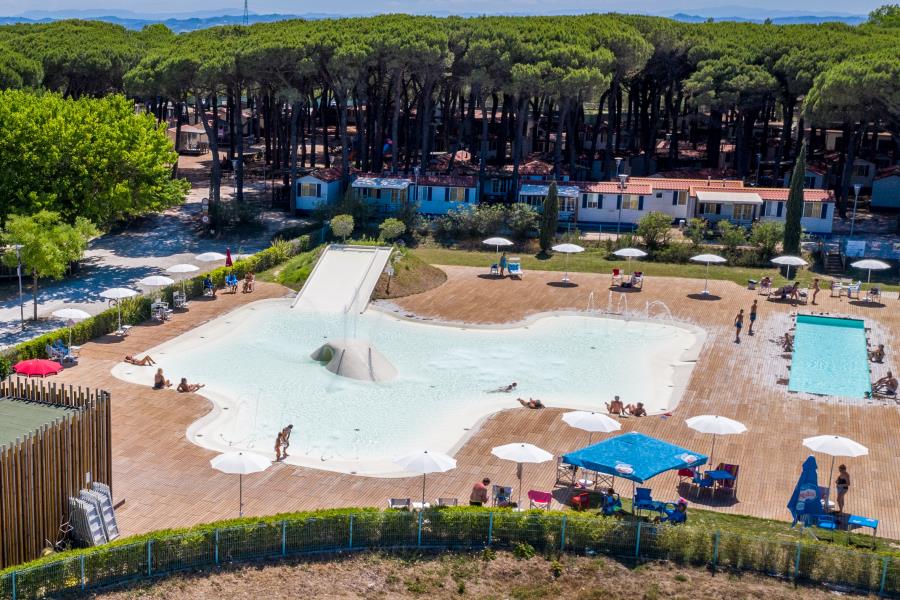 Pineta sul mare