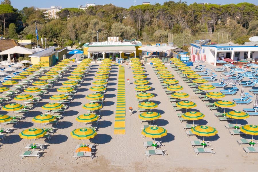 Pineta sul mare