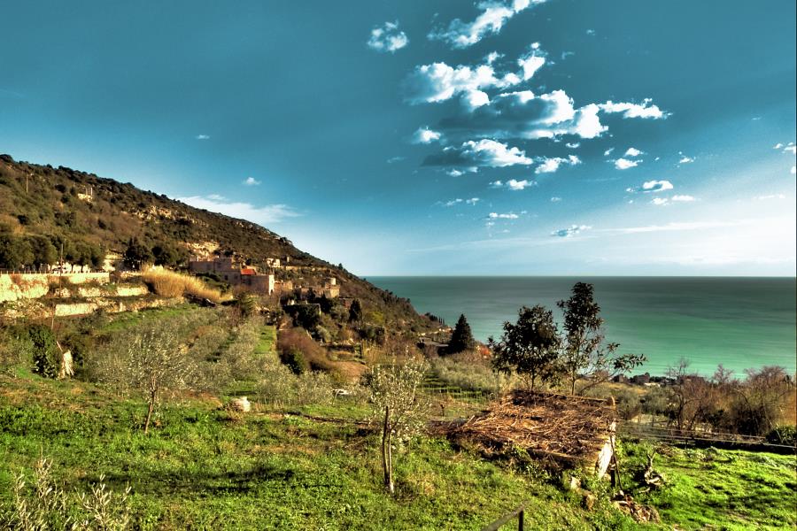Camping Dei Fiori Liguria