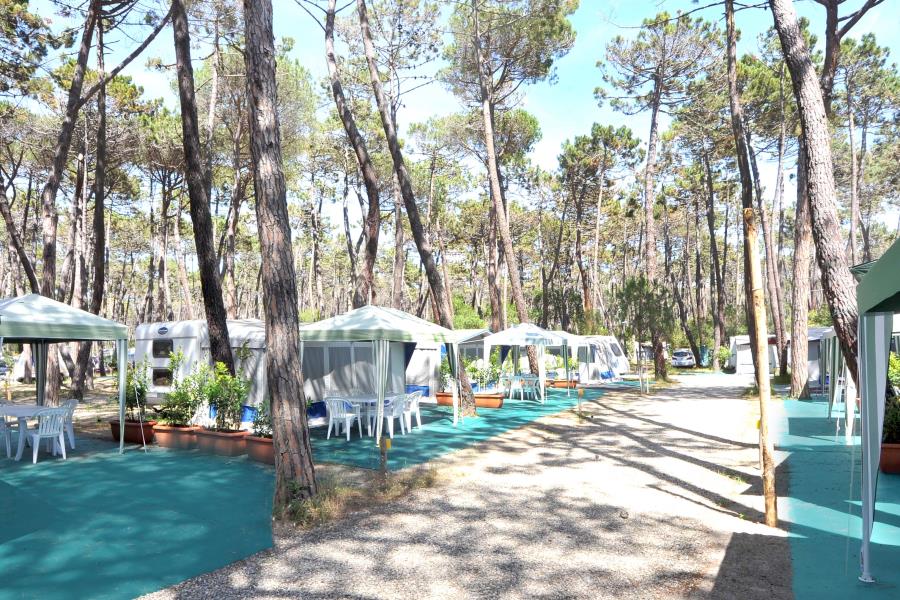 International Camping Baia Verde Toscana