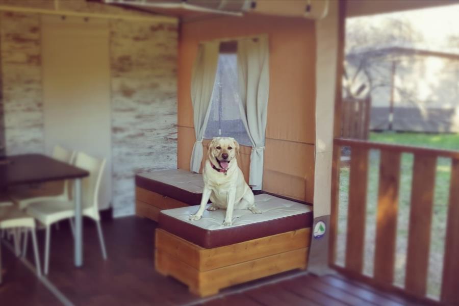 Camping Village Rocchette Toscana